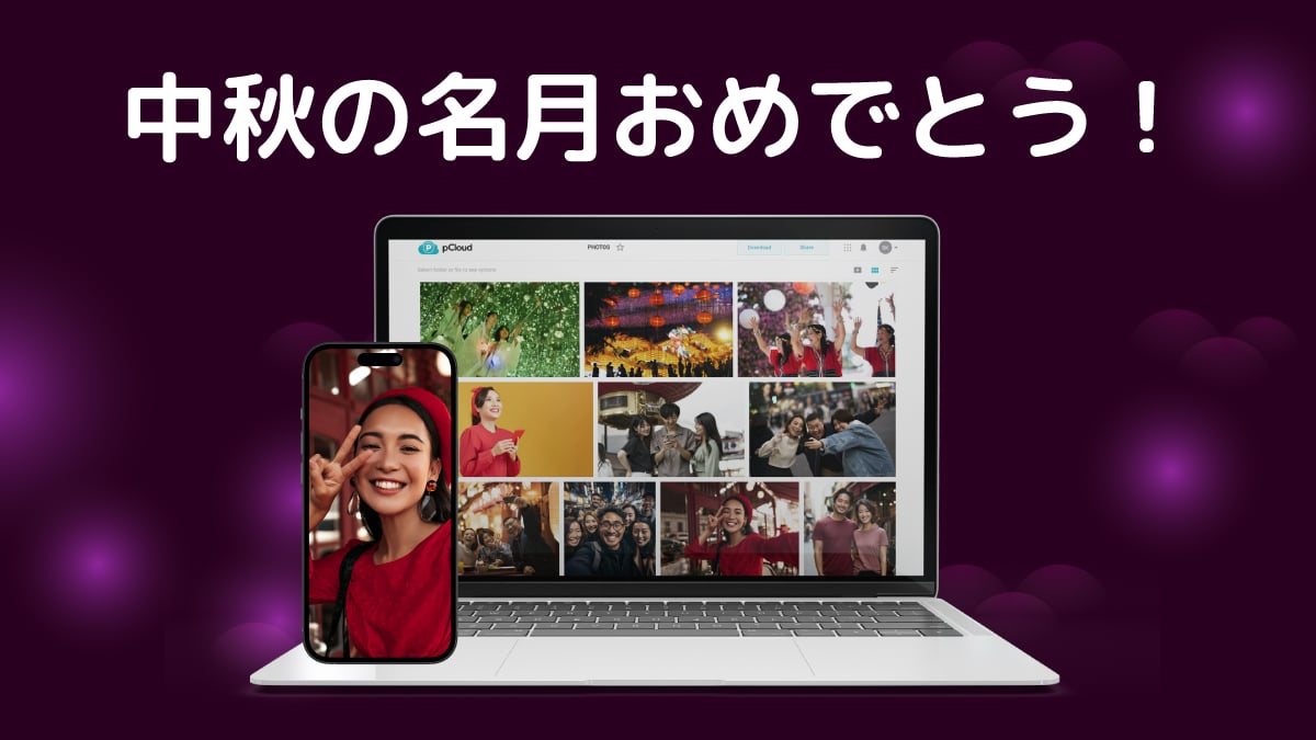 iPhone16のストレージが不安？買い切り大容量の「pCloud」が最適！ - iPhone Mania